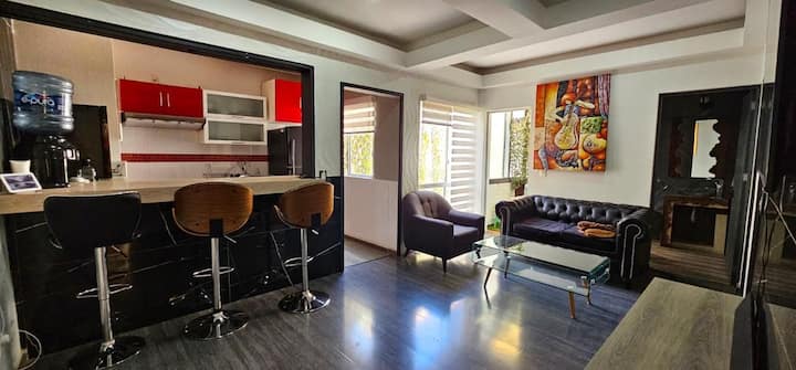 Departamento Cerca Del Bosque De Chapultepec - Mexico City