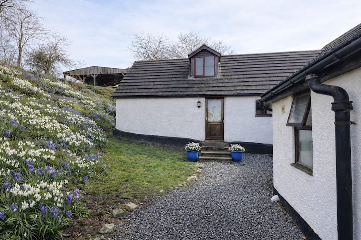 Mill Farm Cottage - South Molton