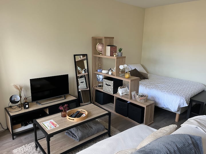 Appartement Meublé Et Lumineux - Limoges