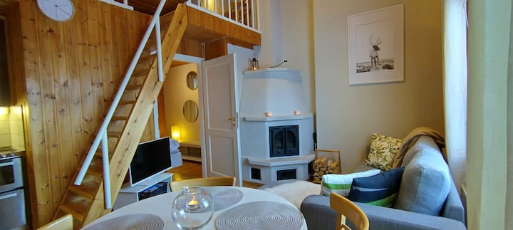 Kurrentupa - 50m To Lake Pyhäjärvi & Own Sauna - Rovaniemi