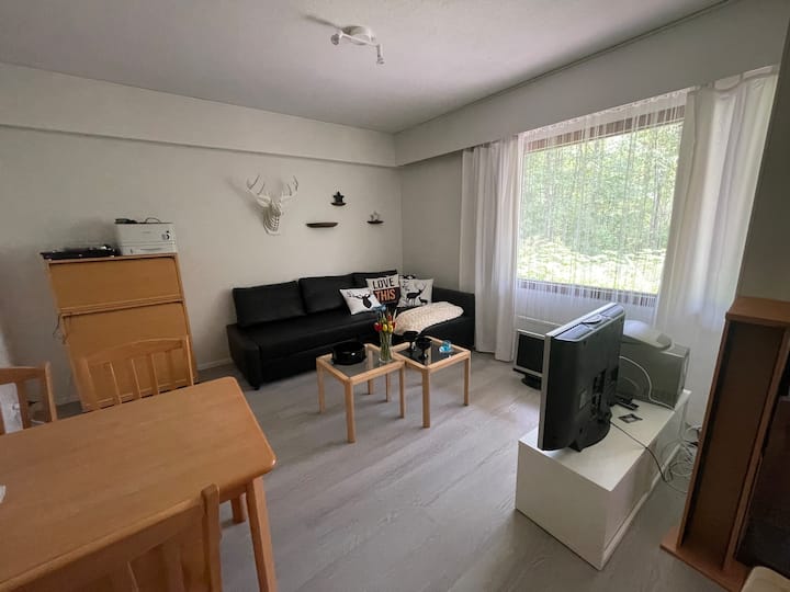 Cozy Place By The Lakeside - Mäntyharju