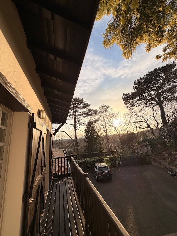 Joli T2 Lumineux - Hasparren