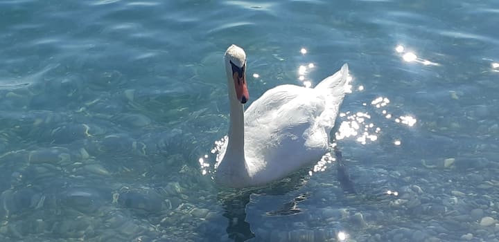 La Maison Du Relax - Ventimiglia