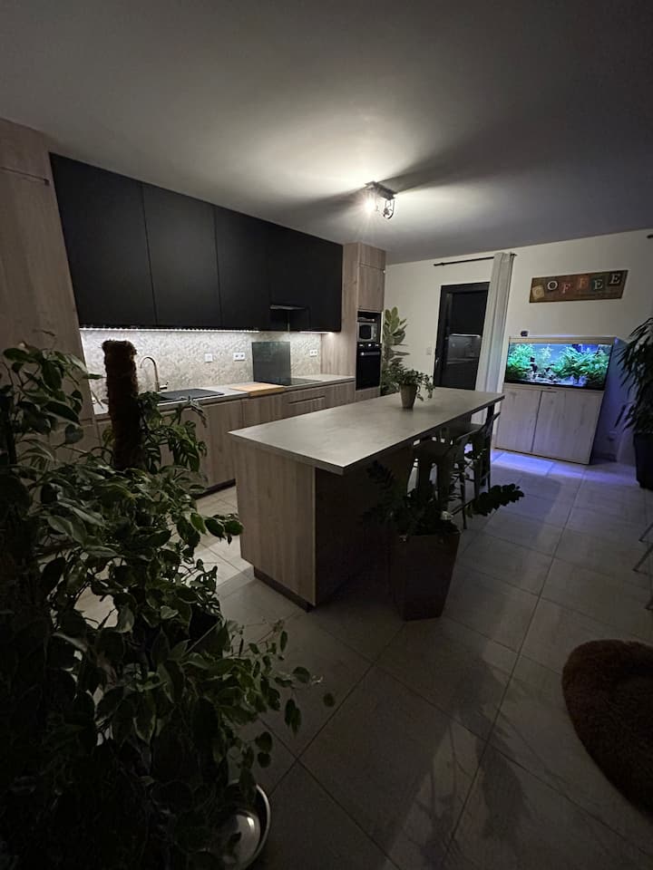 Maison Avec Terrasse - Chasseneuil-du-Poitou