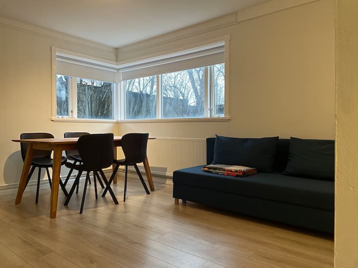 Cozy Apartment In Downtown Reykjavík - Reykjavik