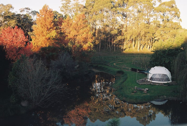 Dome Sweet Dome - Napier