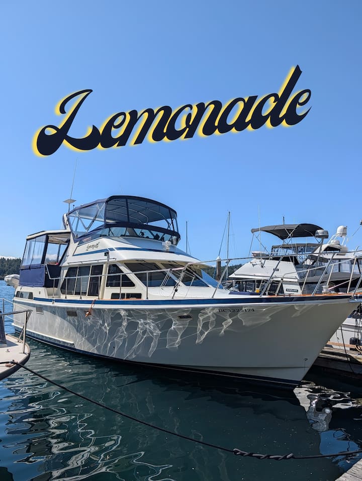 "When Life Hands You Lemons" | Meet Lemonade - Sidney