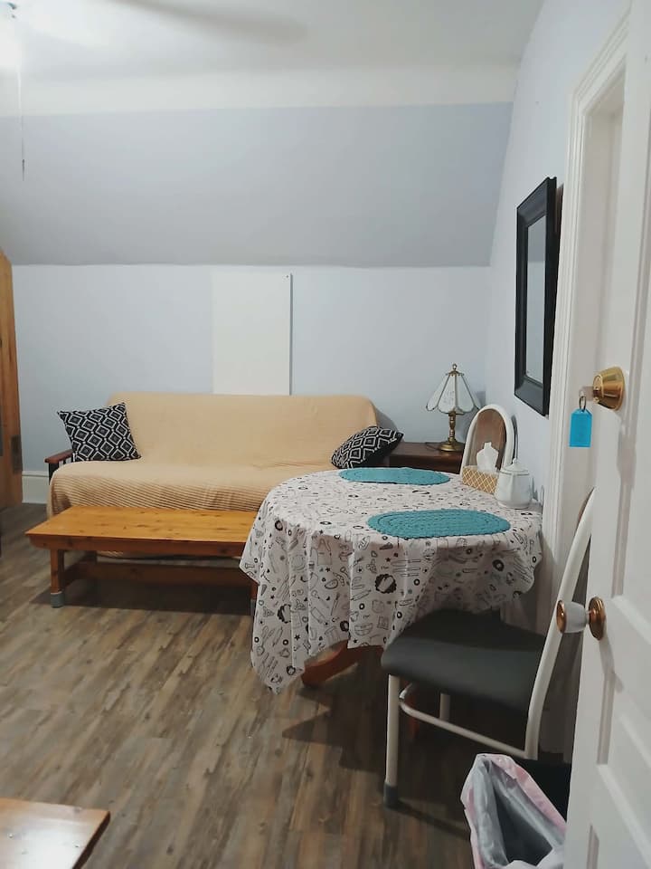 Apartment For 4 In Historic Victorian Home - St. Thomas