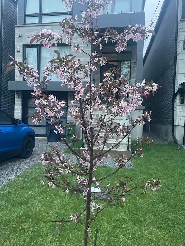 2 Bedroom Unit, Close To Downtown, 3 Min To Subway - Toronto