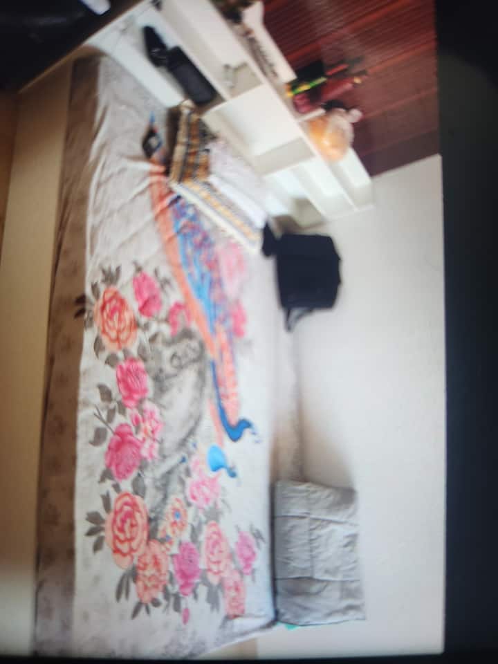 Tejaswi Lotus Tower Situated At Rajkumarganj Dbg - Darbhanga