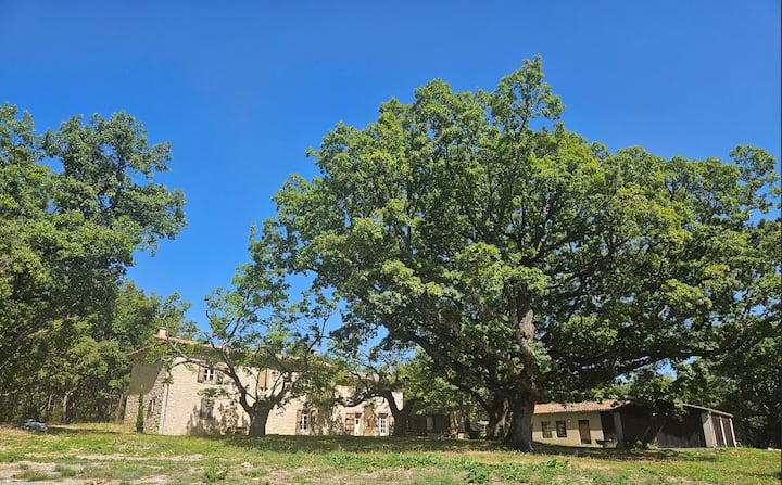 Un Lieu Hors Du Temps En Provence - Forcalquier
