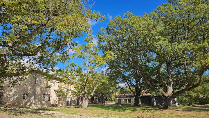 Un Lieu "Hors Du Temps" En Provence Verte - Forcalquier