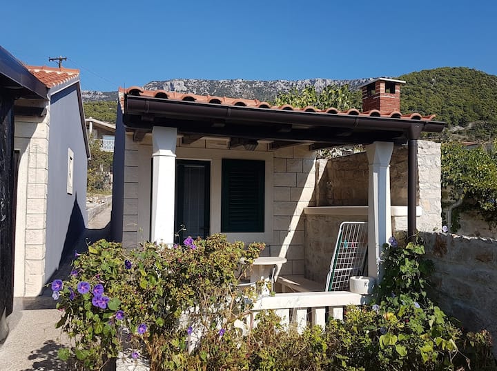 Mini Studio Center Bol - Bol