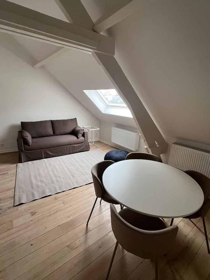 Elegant Apartment In Central Antwerp - Antwerp