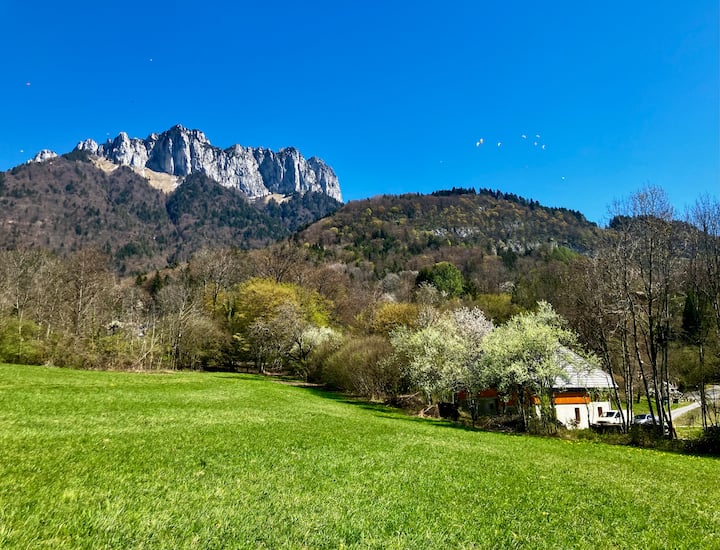 Maison Nature Au Calme Entre Lac Et Montagnes - Saint-Jorioz