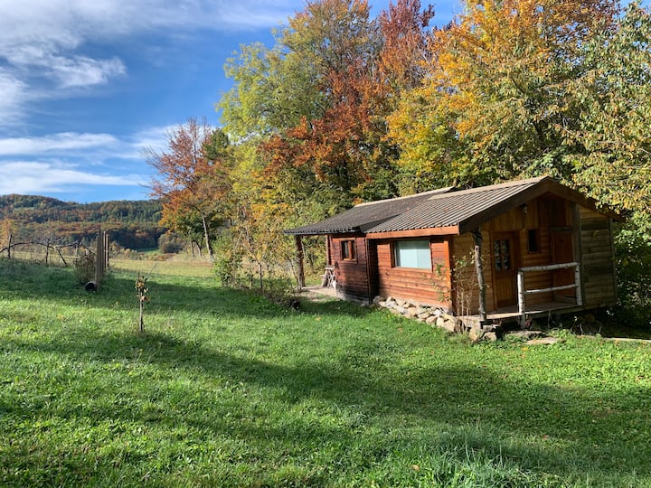 Chalet Montagne Serre-ponçon  Vue Montagne&soleil - Montclar