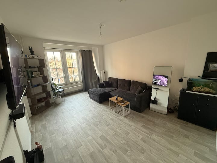 Luxuriöse Wohnung In Top -Lage - Chemnitz