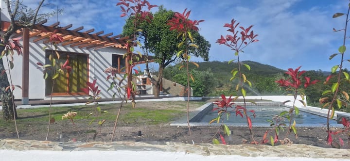 Casa Cadi - Refugio Na Natureza Em Proença-a-nova - Proença-a-Nova