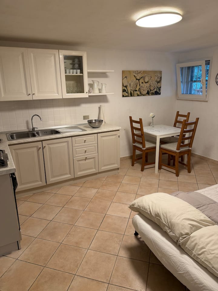 Appartamento - Pontedera