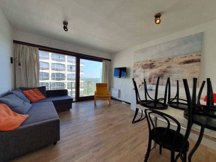 Appartement Au Calme à 50 M De La Mer - De Panne