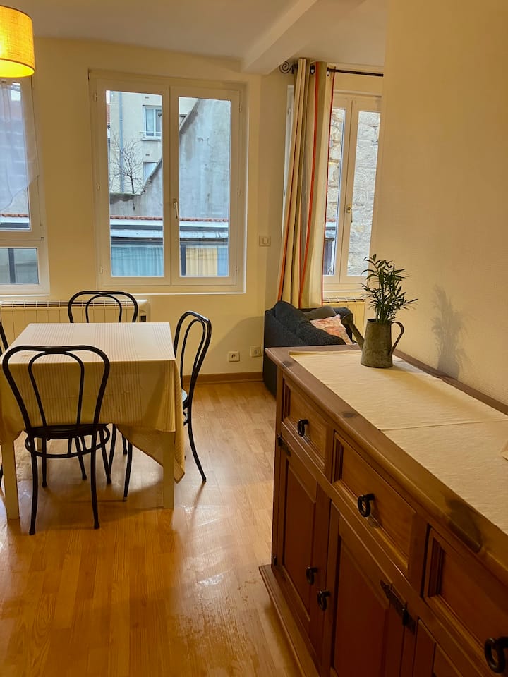 Le Bien Caché - Centre-ville - Proche Gare - Saint-Étienne