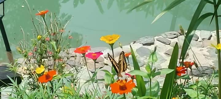 Jardin De Cacao La Bernalera
Alojamiento Rural - Cumaral