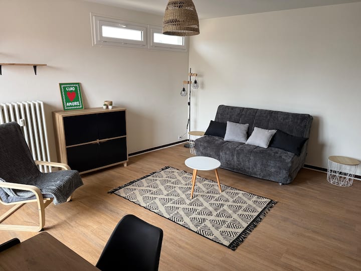 Appartement Cosy & Lumineux Tout Confort - Valence