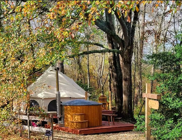 Romantic Night In Nature - South Carolina