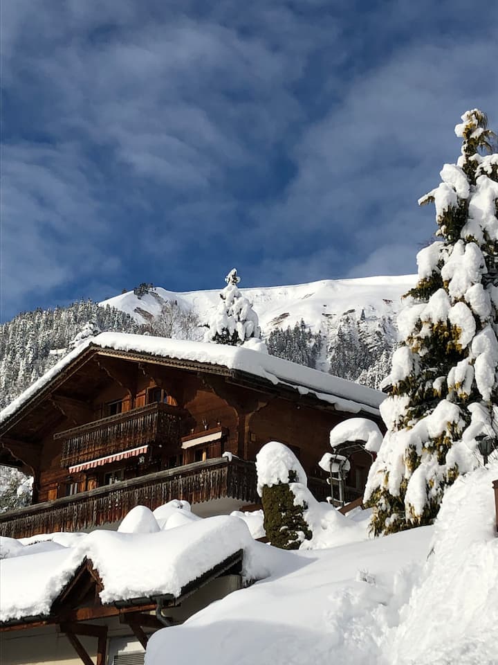 Chalet-apartment Mit Bergblick In Ruhiger Lage - Rougemont