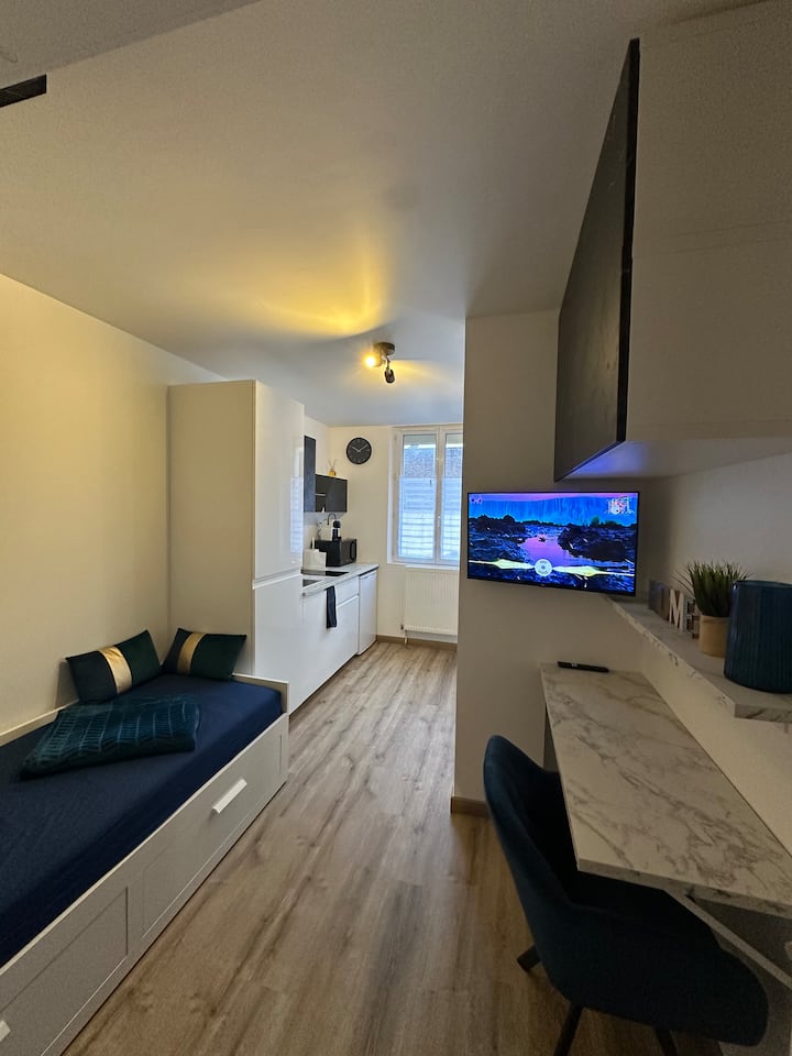 Jolie Petit Studio Au Calme ! - Nemours