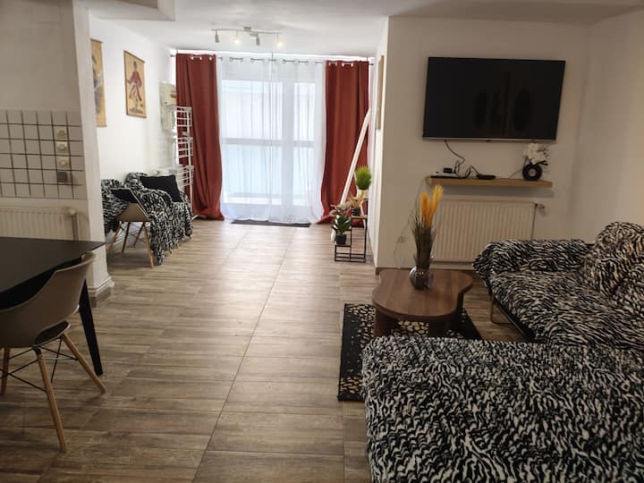 Spacieux Appartement 3 Chambres à Strasbourg - Strasbourg