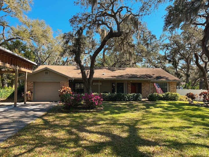Hidden House On Laney Drive - Dunedin, FL
