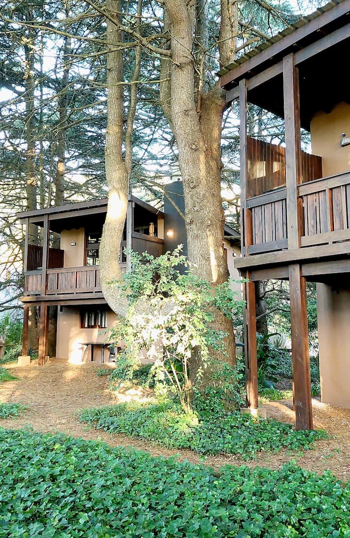 Posta Chimango Cabañas Frente Al Golf Acantilados - Mar del Plata