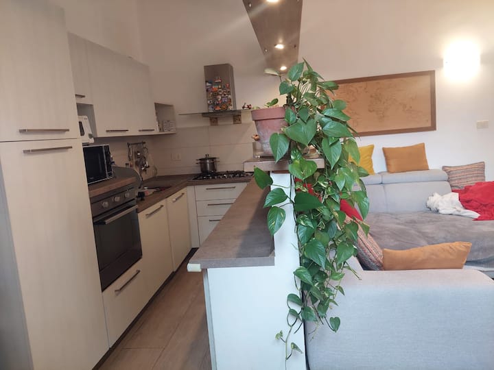 Appartamento - Grosseto