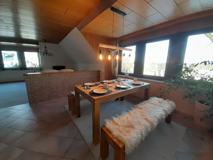 Eichhörnchen - Schneverdingen