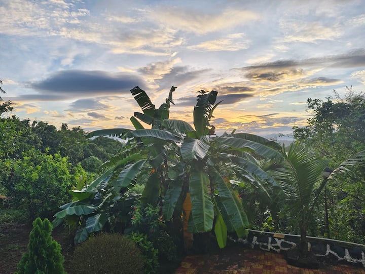 Forest Hub At Talwar Farms - Neral