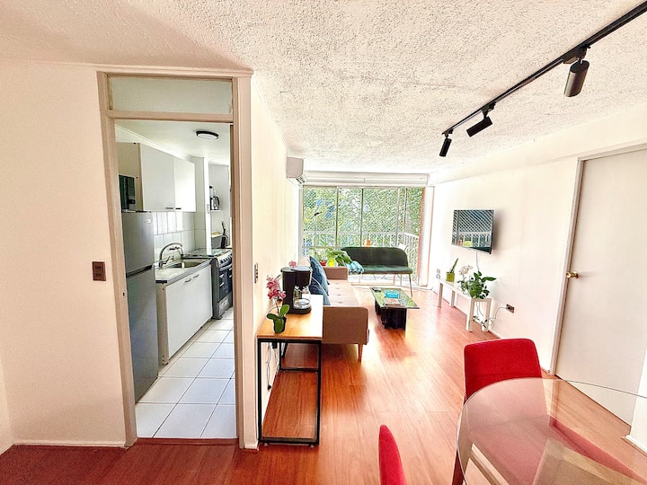 Departamento Luminoso En Pleno Centro De Santiago - Chile