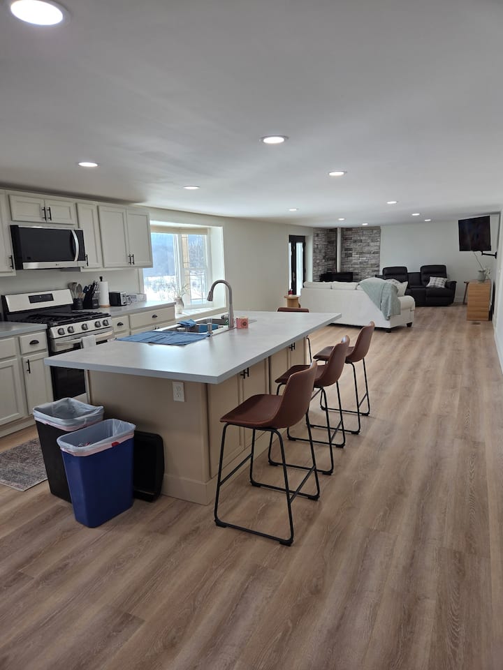 Alpine Haven 716 - Ellicottville, NY