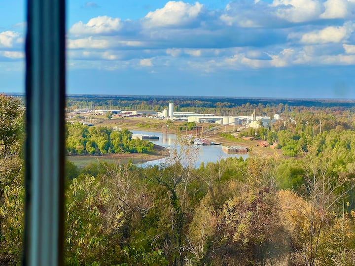 Massey’s On Fort Hill - Garden Apartment - Vicksburg, MS