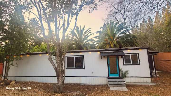 Private Adu Retreat & Half-acre Resort-style Pool - 丹維爾