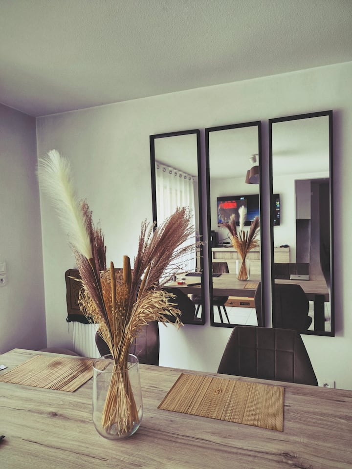 Bel Appartement T2 45m2 En Centre Ville Thionville - Thionville