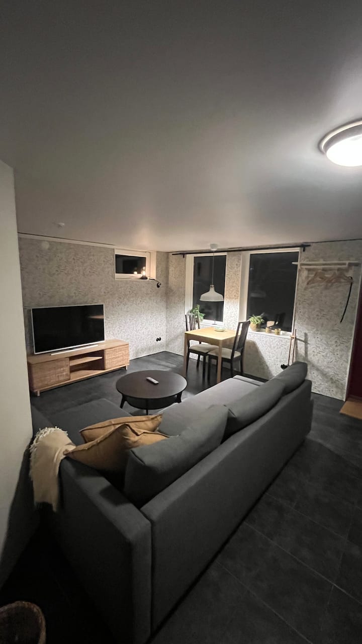 Stads- Och Natur Nära Lägenhet Med Egen Entré - Falun