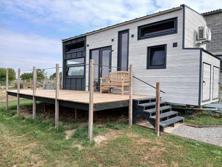 T-rex Tiny House: Stoer, Knus En Avontuurlijk - Leuven