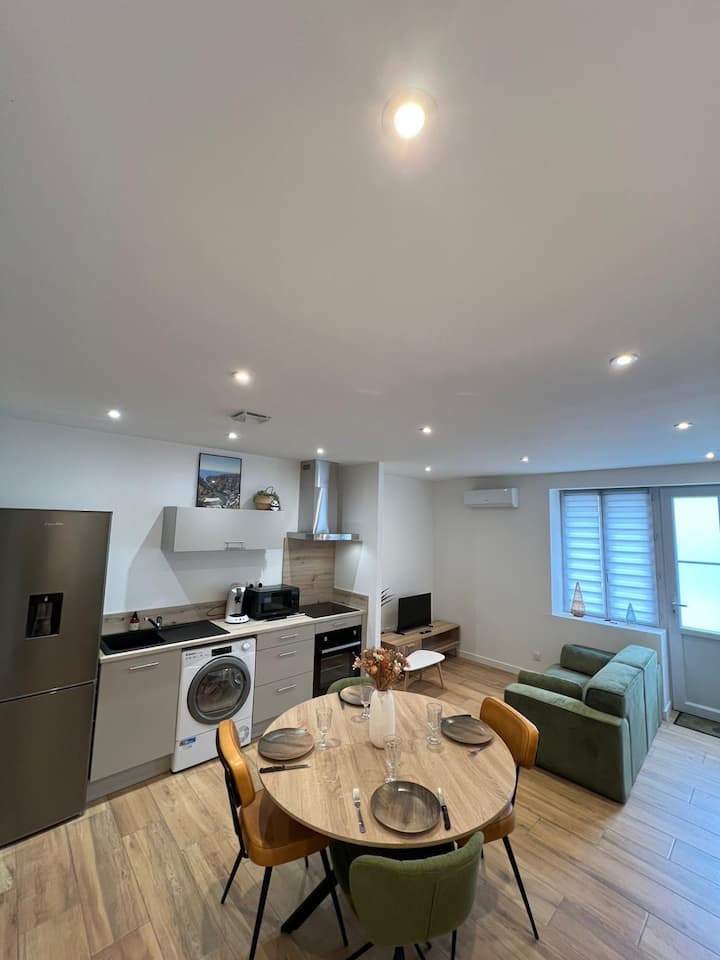 Superbe T1 Bis Spacieux 41 M² - Cœur De Ville - Castres