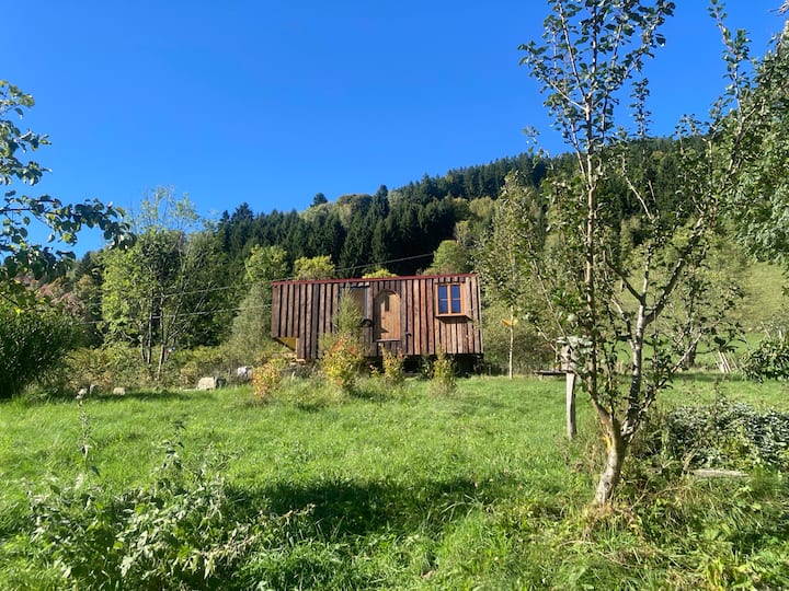 Tiny House Inmitten Der Natur - Austria