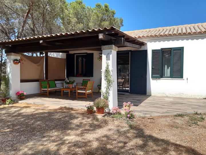 Traditional Farmhouse Near The Sea Calm & Charming - Portobello
