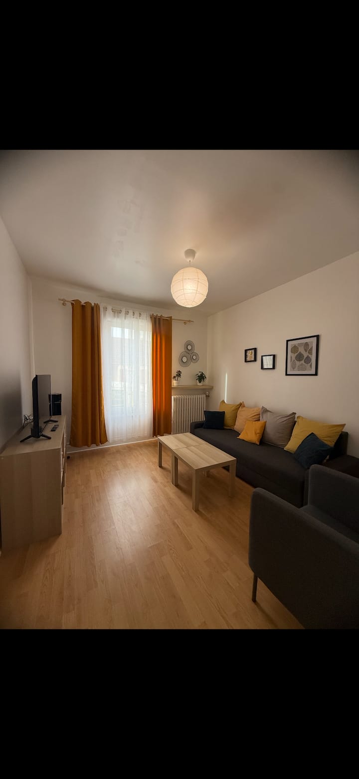 F3 Avec Jardin Proche Centre Vichy - Vichy