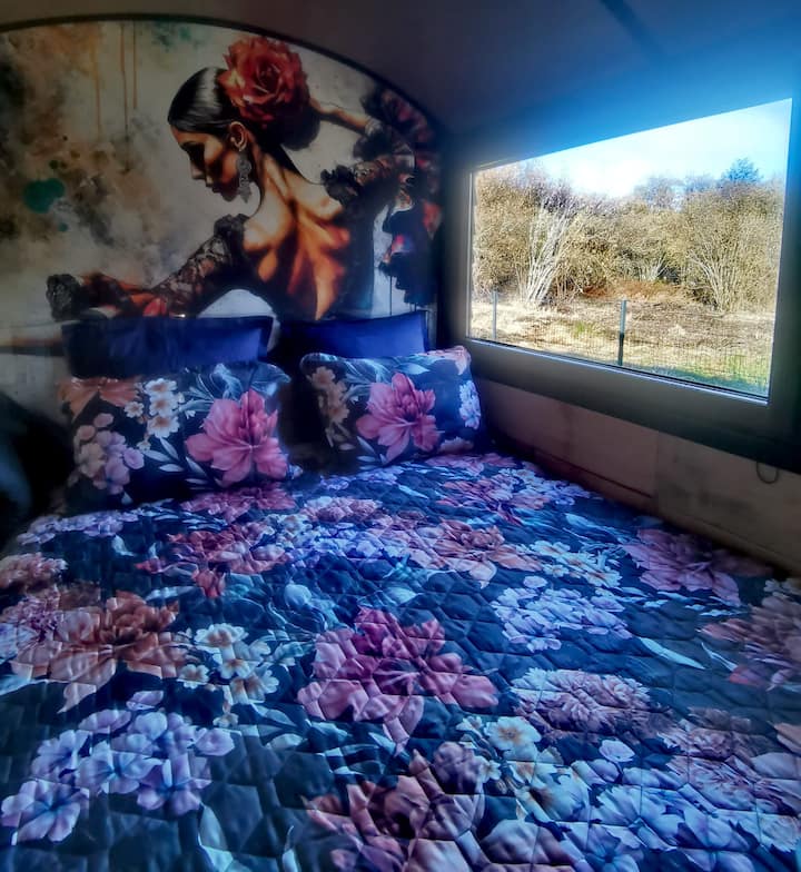 L'envoûtante Tzigane - Saint-Dié-des-Vosges