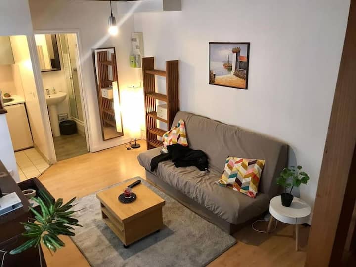 Lovely Duplex In Fontainebleau - Fontainebleau