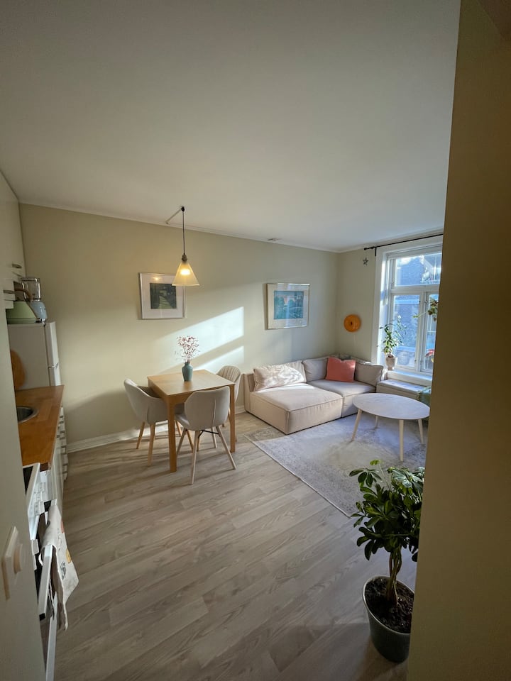 Koselig Leilighet Med Alt, Sentralt På Grunerløkka - Oslo